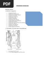 Anatomi Rangka Aksial Dan Apendikular | PDF