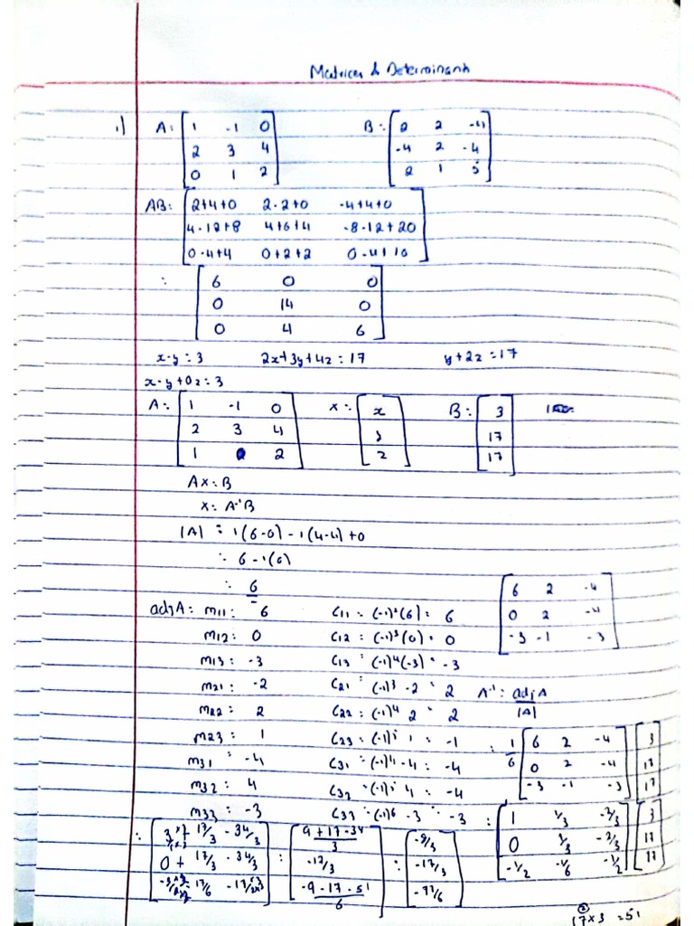 matrices-and-determinants-pdf