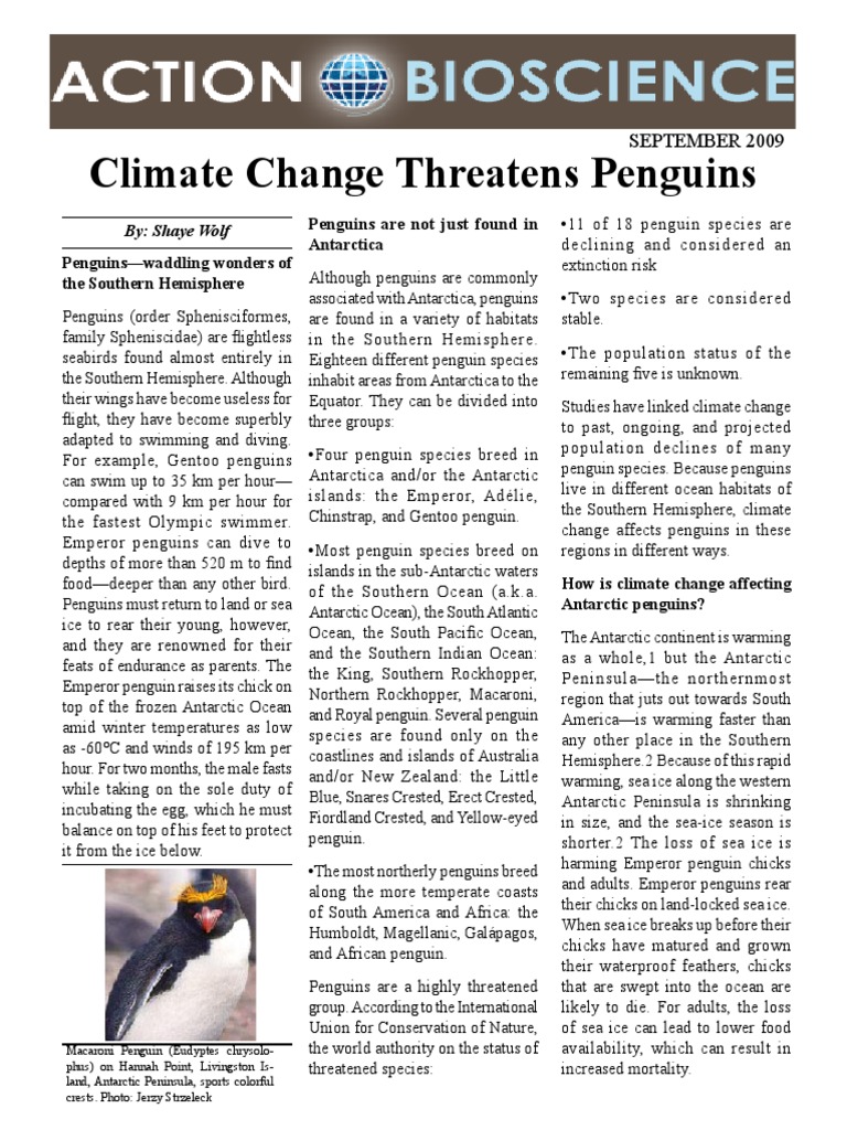 Penguins ActionBioscience 9-09 | PDF | Penguin | Climate Change