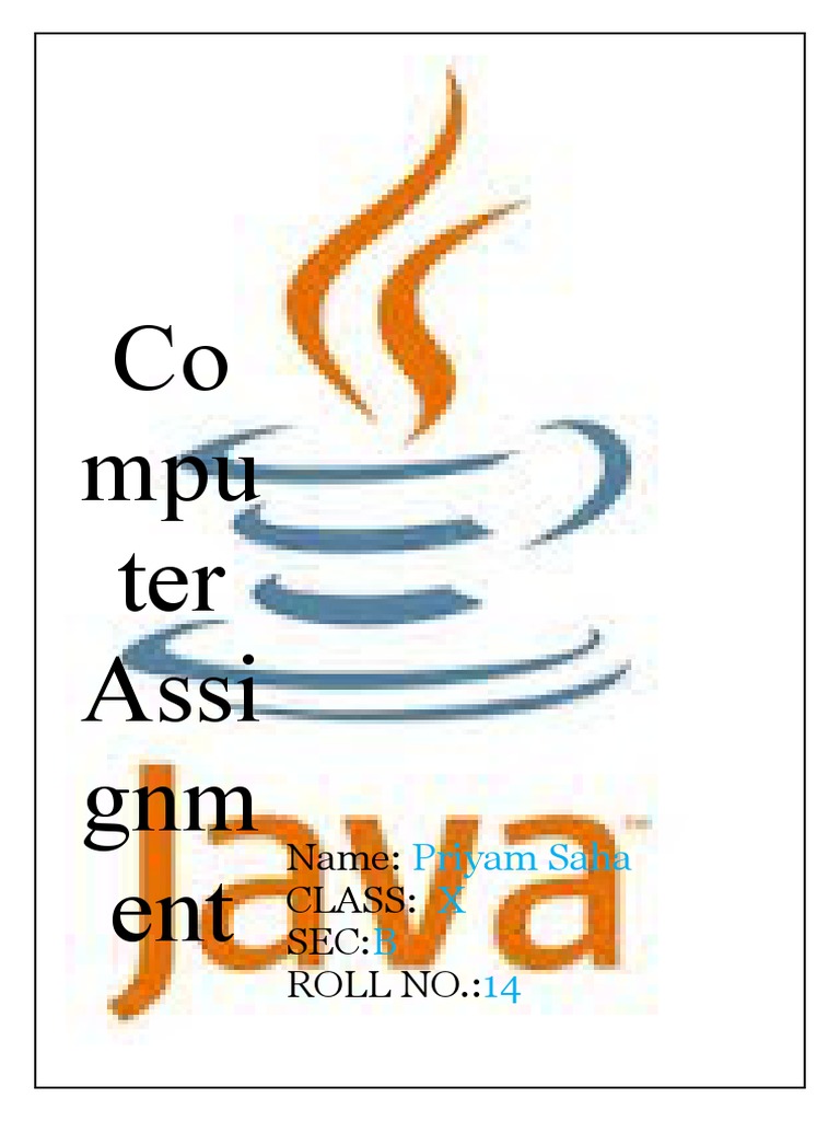 Computer Assignment Pdf Variable Computer Science Programming 