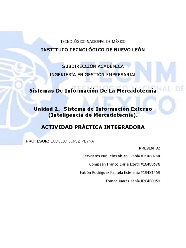 Act - Práctica Integradora | PDF | Investigación de mercado | Business