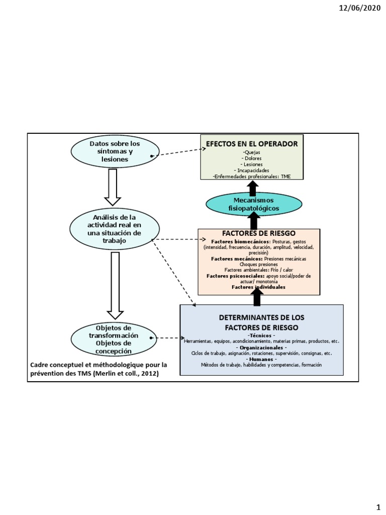 Presentación 1 Factores de Riesgo | PDF
