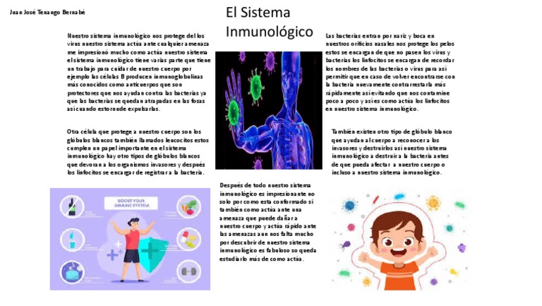 Tarea Vida Saludable | PDF | Sistema inmune | Leucocito