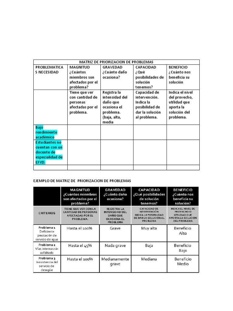 Matriz de Priorizacion de Problemas | PDF | Aprendizaje | Cognición