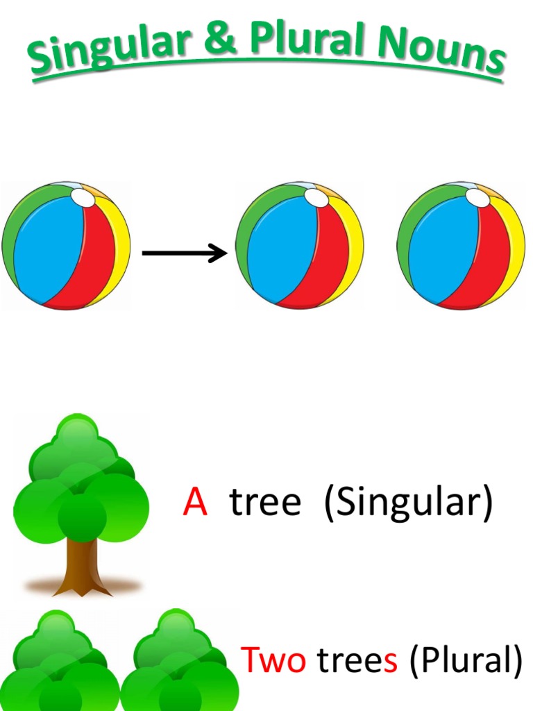 Singular and Plural of Tree | PDF