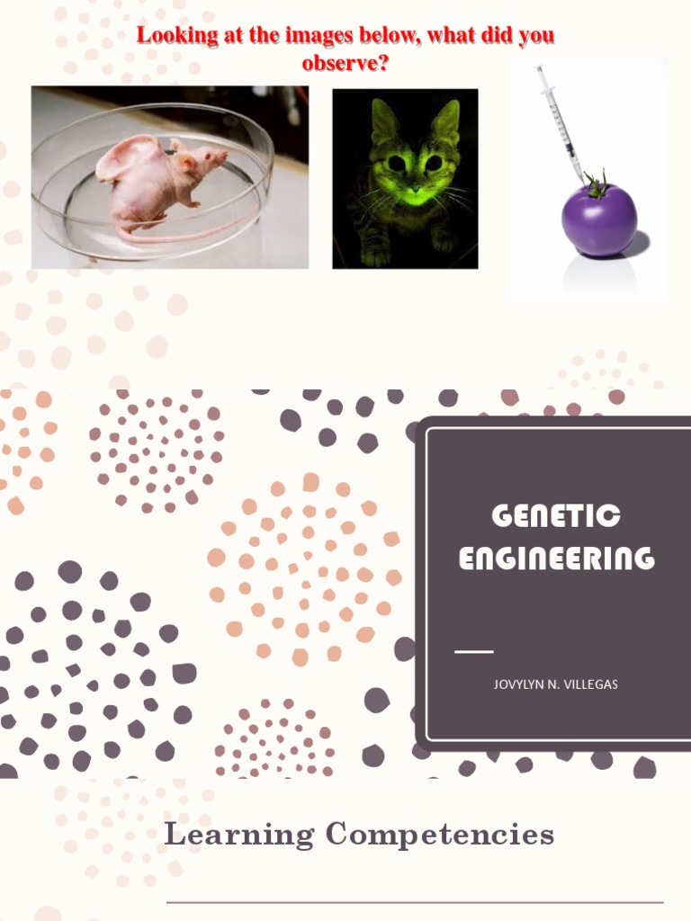 Genetic Engineering | PDF | Genetic Engineering | Genetically Modified ... Genetic Engineering | PDF | Genetic Engineering | Genetically Modified ...