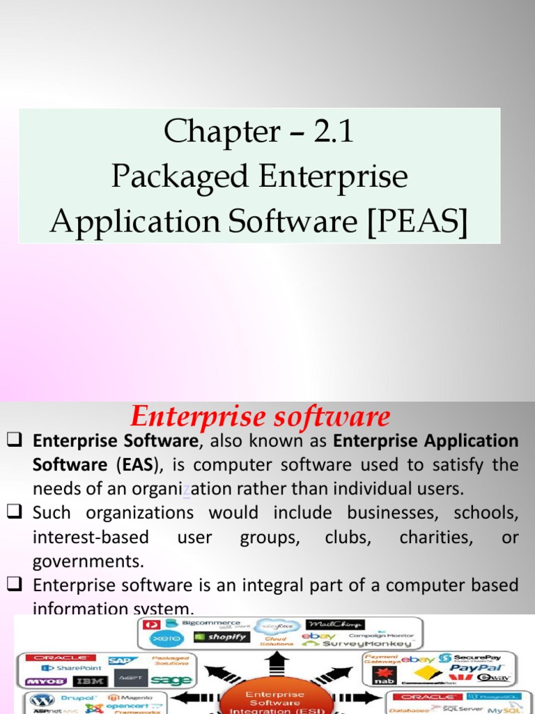 2.1 ES Packaged Enterprise Application Software | PDF | Economies ...