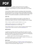 Guía de las 10 R para Sostenibilidad | PDF | Residuos | Sustentabilidad