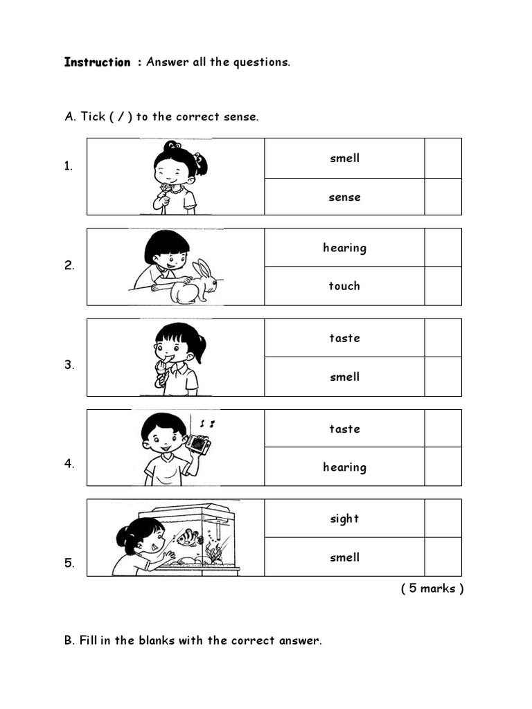 Dlp Science Section B Pdf Senses