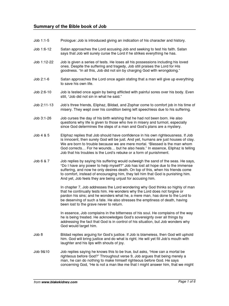 Job Summary | PDF | Book Of Job | Repentance