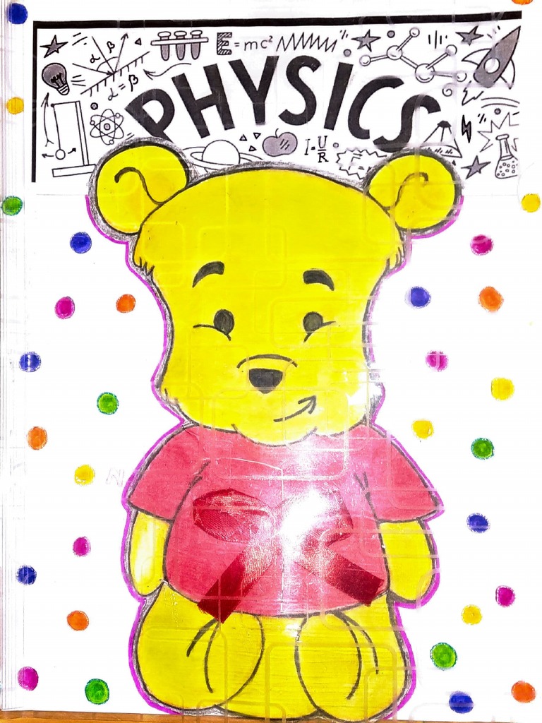 Physics Project Magnetism Disha Mishra | PDF | Electricity | Hand