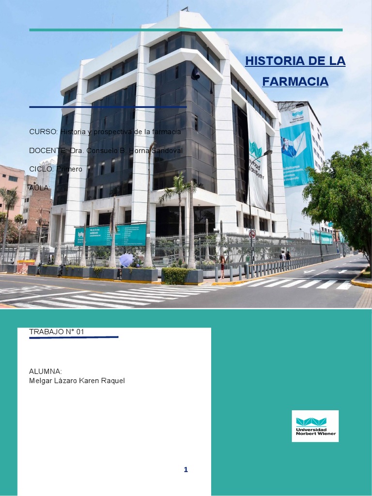 Trabajo Grupal N°1 | PDF