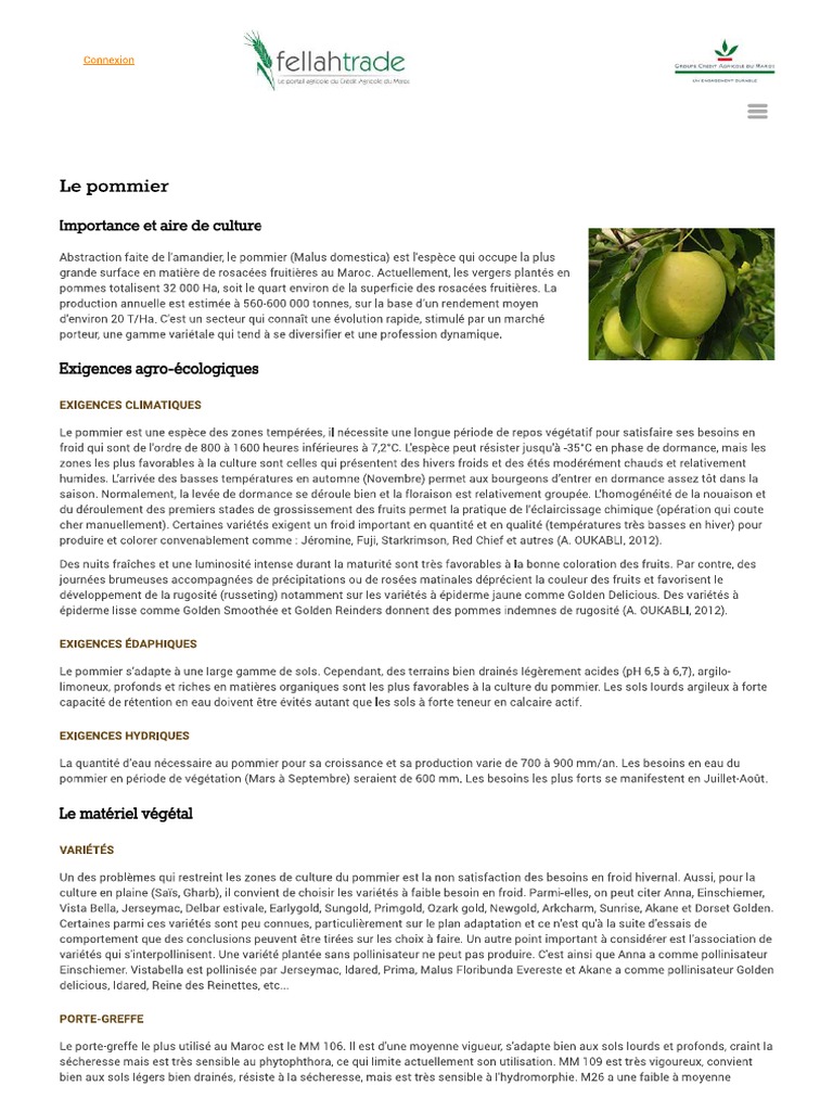 Pommier | PDF
