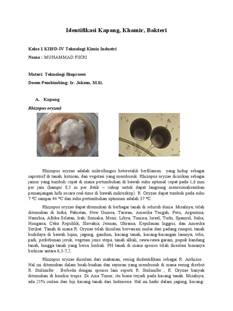 Khamir Kapang2 | PDF