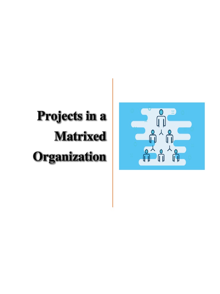 Project In A Matrixed Organization Download Free Pdf Organizational Structure Project
