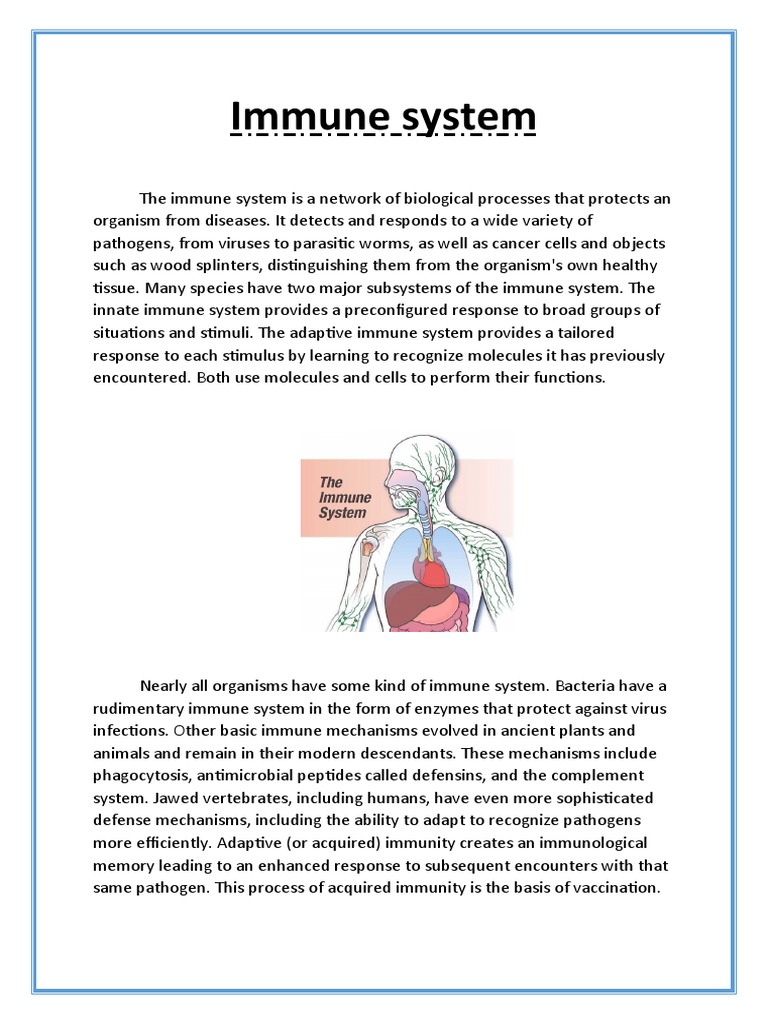 Immune System Project Pdf Immune System Innate Immune System