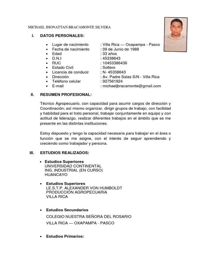 CV. Michael 2022 | PDF | Outsourcing | Iniciativa empresarial