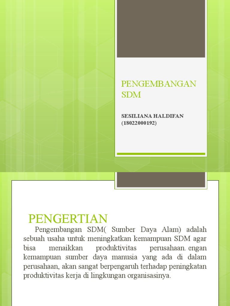 Pengembangan SDM | PDF