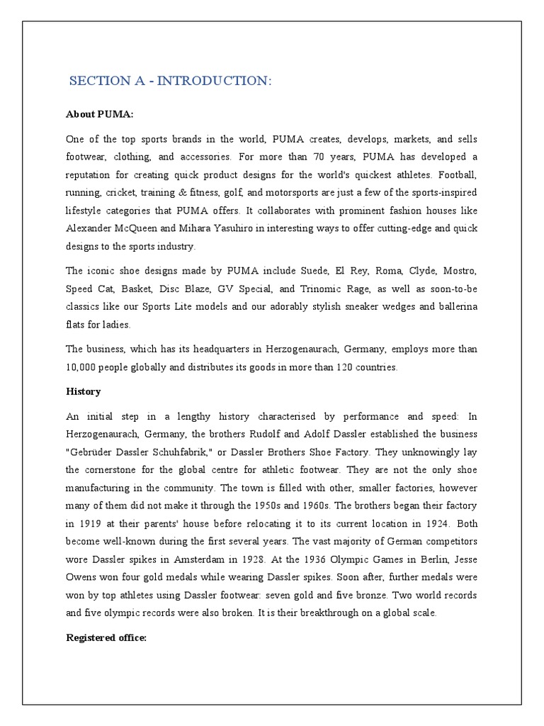 Puma | PDF | Occupational Safety And Health | Organizational Structure