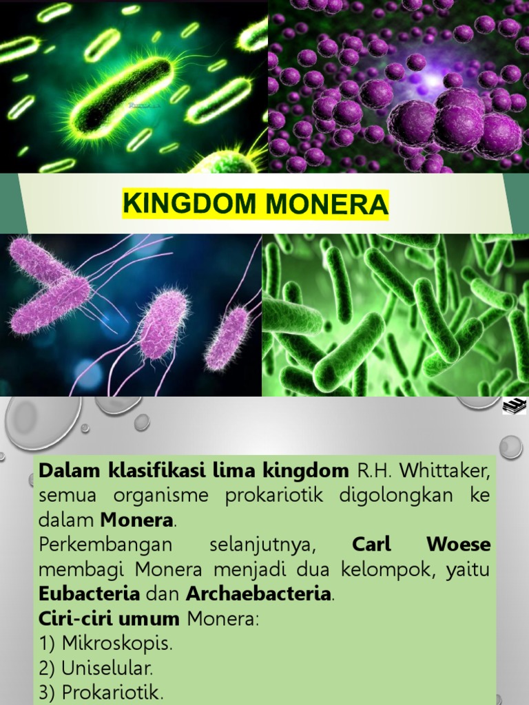 Klasifikasi dan Ciri Kingdom Monera | PDF