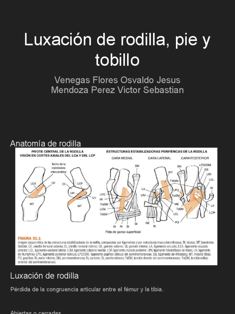 Luxación de Rodilla, Tobillo y Pie | PDF