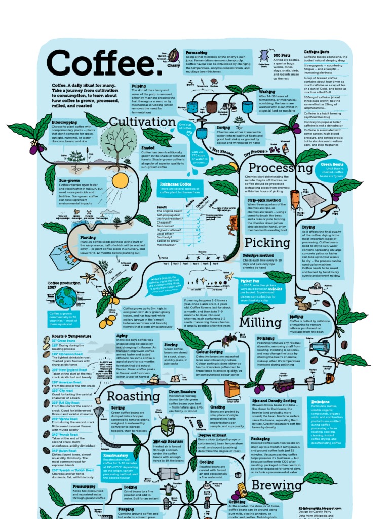 Week #50 - Coffee | PDF | Agriculture | Nature