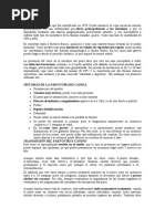 Pfizer Vanguard SP Final | PDF | Vacunas | Virus