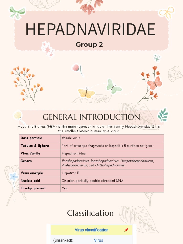 HEPADNAVIRIDAE | PDF | Hepatitis B | Virus