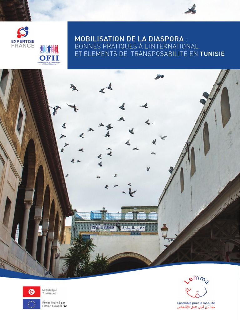 Mobilisation de la diaspora en Tunisie | PDF | Tunisie | Union européenne