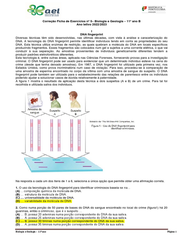 Corr Ficha 5 Exerc 11B | PDF | RNA | Célula (Biologia)