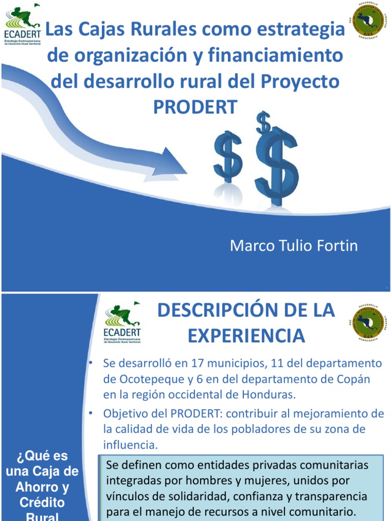 Cajas Rurales en Honduras: Impacto y Estrategias | PDF | Organización ...