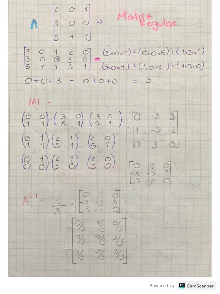 Cálculo Matriz Inversa Y Determinante Pdf