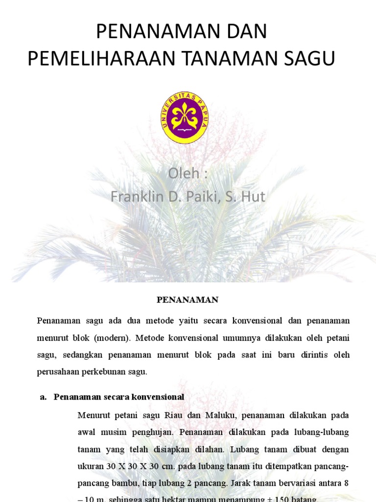 Penanaman Dan Pemeliharaan Tanaman Sagu | PDF