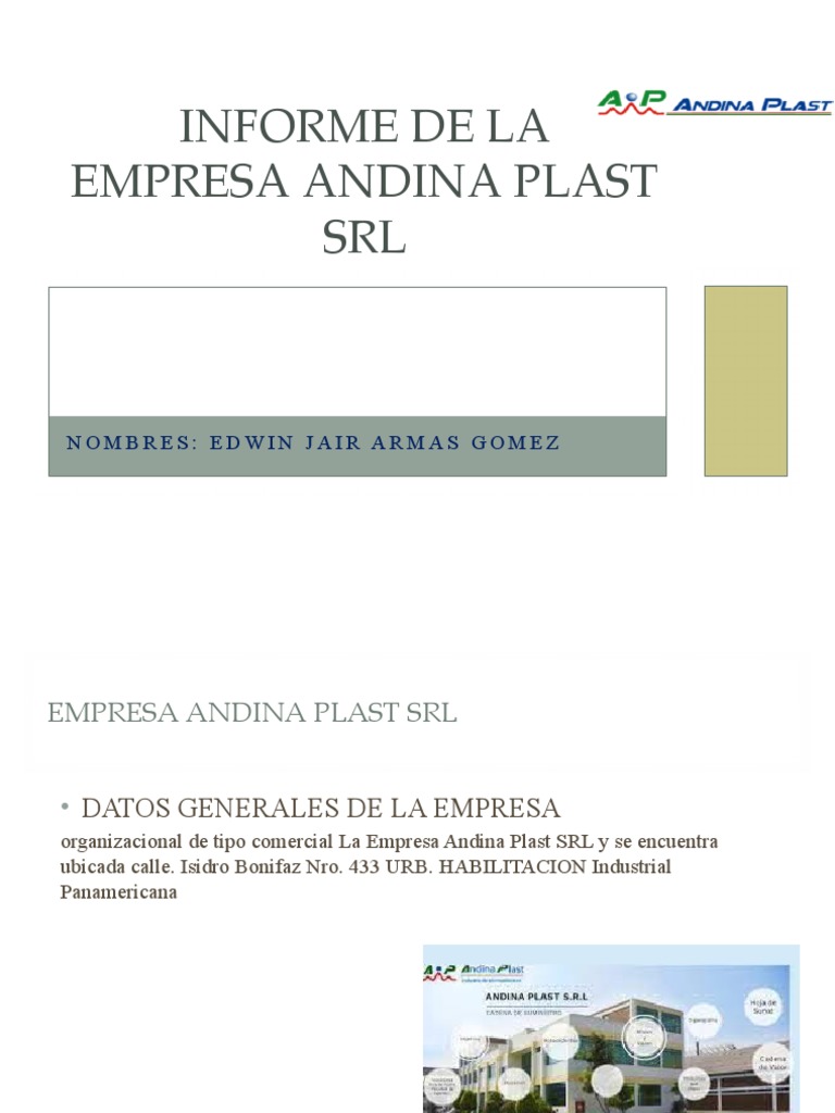 Informe-de-La-Empresa-Andina-Plast-Srl JAIR ARMAS | PDF | Presupuesto ...