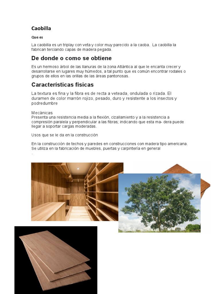 Tipos de Maderas | PDF