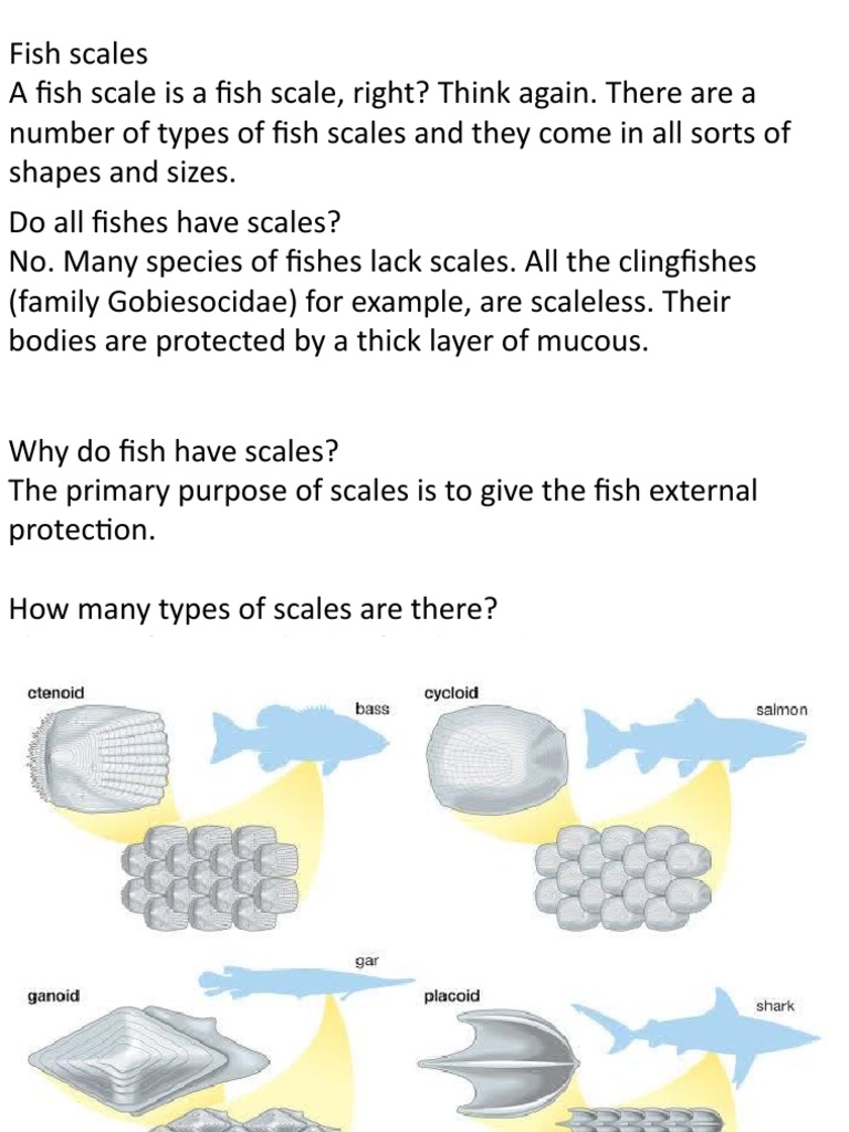 Fisheries | PDF | Fish | Organisms