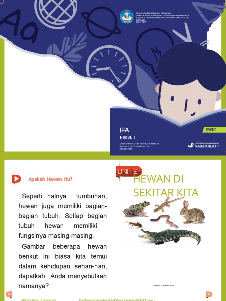 Modul 1 - Ipa - Unit 2 - A | PDF