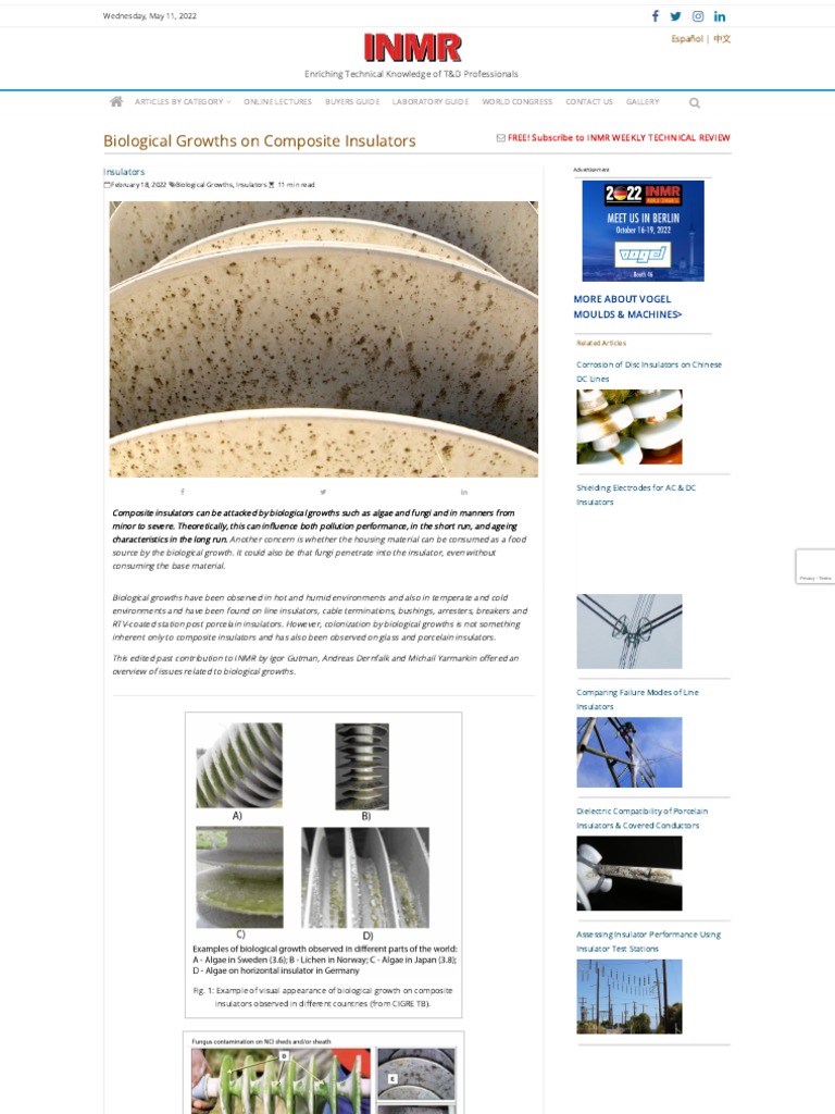 Biological Growths On Composite Insulators | PDF | Insulator (Electricity) | Fungus