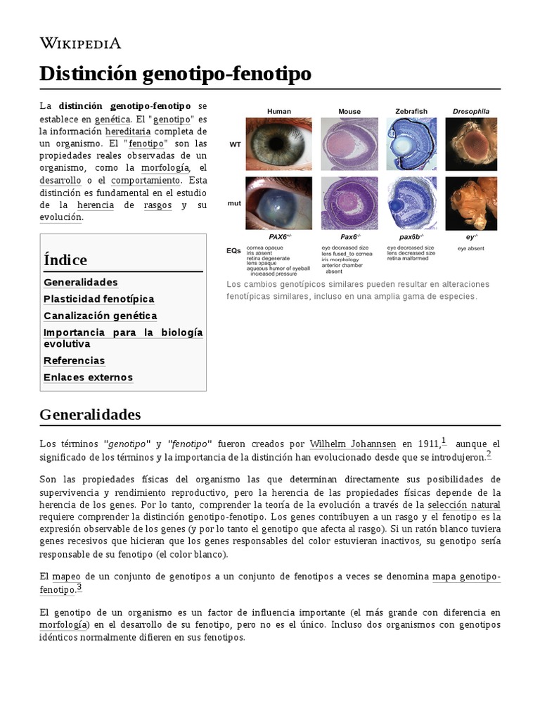 Distinción Genotipo-Fenotipo | PDF | Evolución biológica | Biología ...