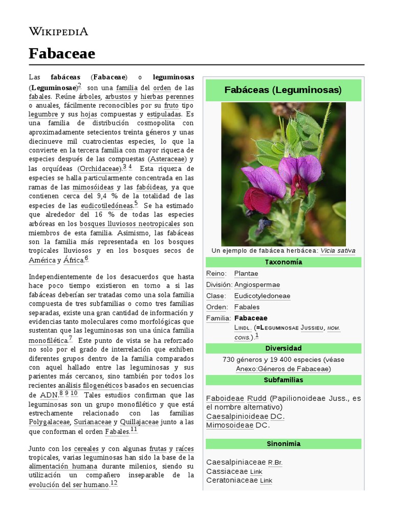 Fabaceae | PDF | Plantas | Botánica
