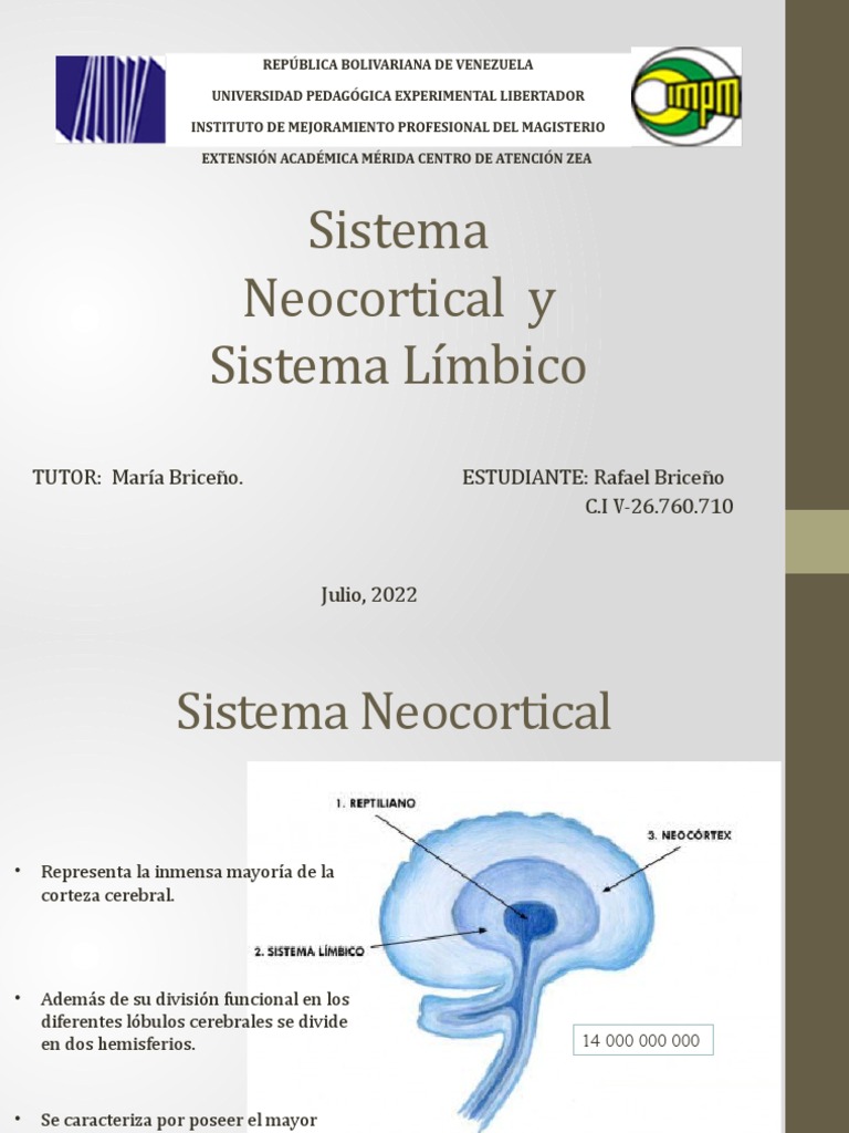 Sistema Neocorte y Sistema Limbico | PDF