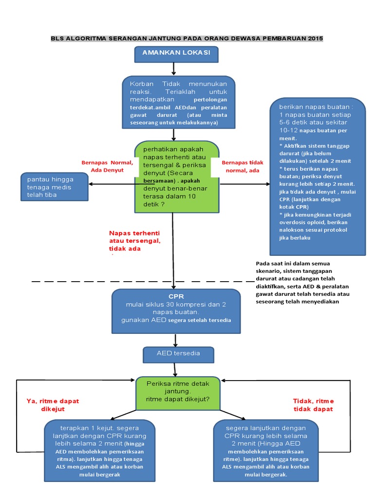 BLS Algoritma Serangan Jantung Pada Orang Dewasa Pembaruan 2015 | PDF