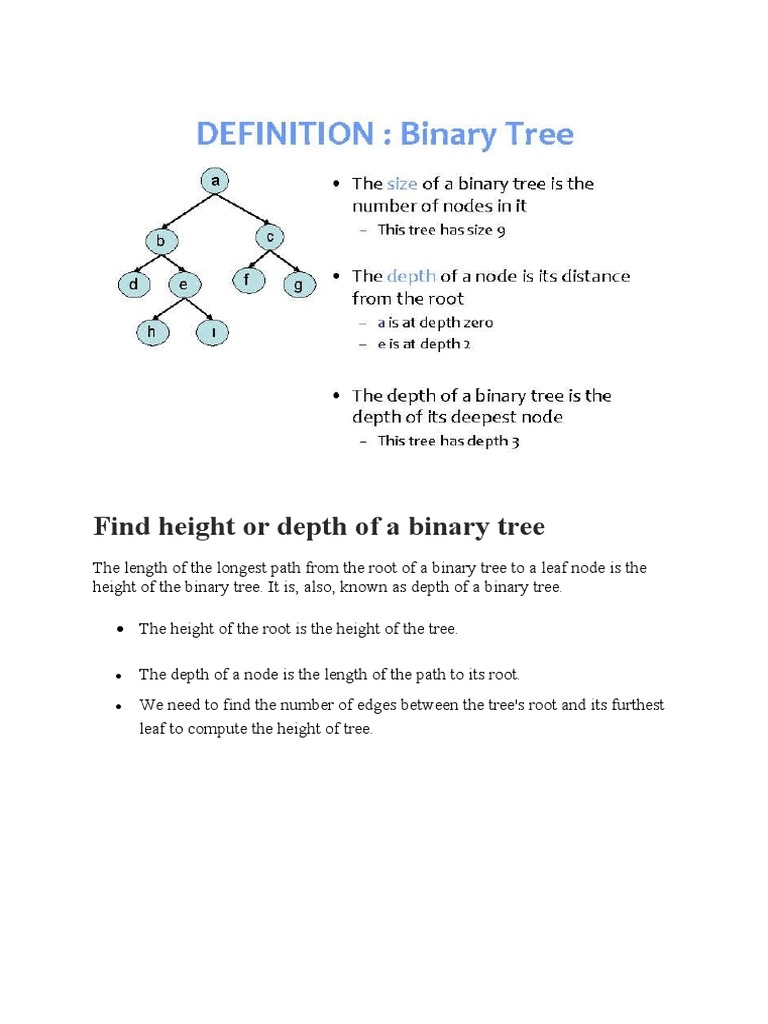 Binary Tree | PDF | Algorithms And Data Structures | Computer Science