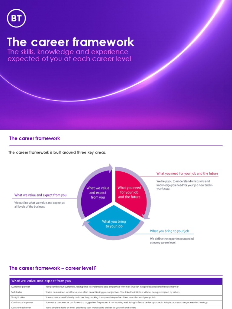The Career Framework | PDF | Strategic Management | Analytics