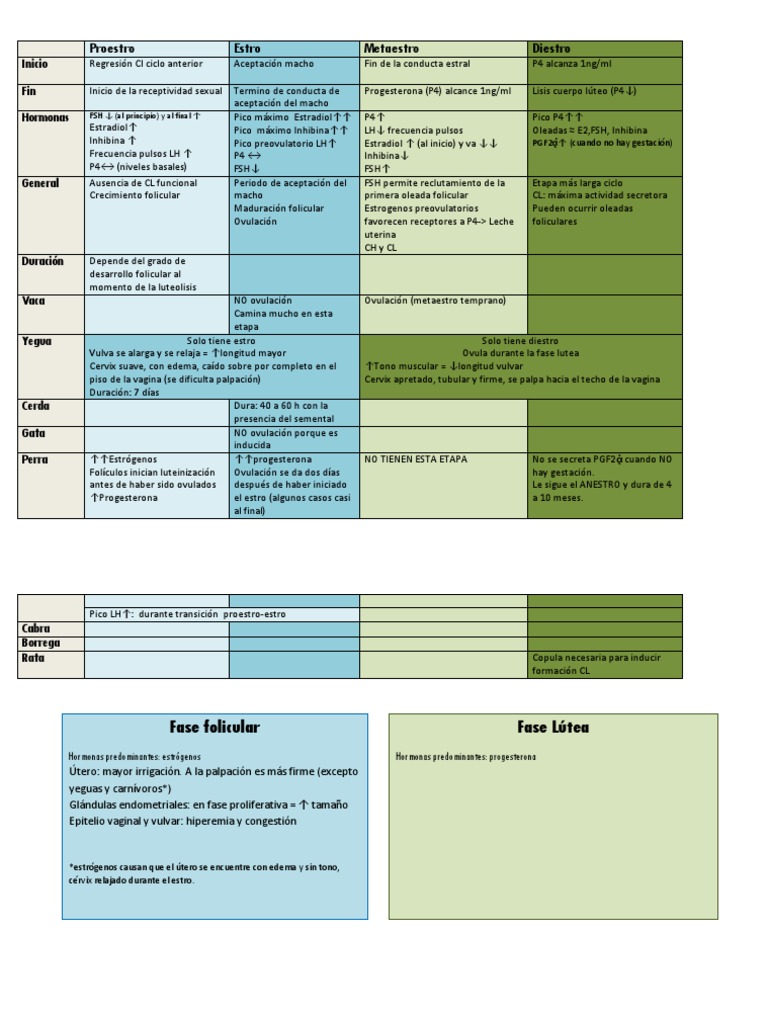 Guía Repro | PDF | Ciclo menstrual | Vagina