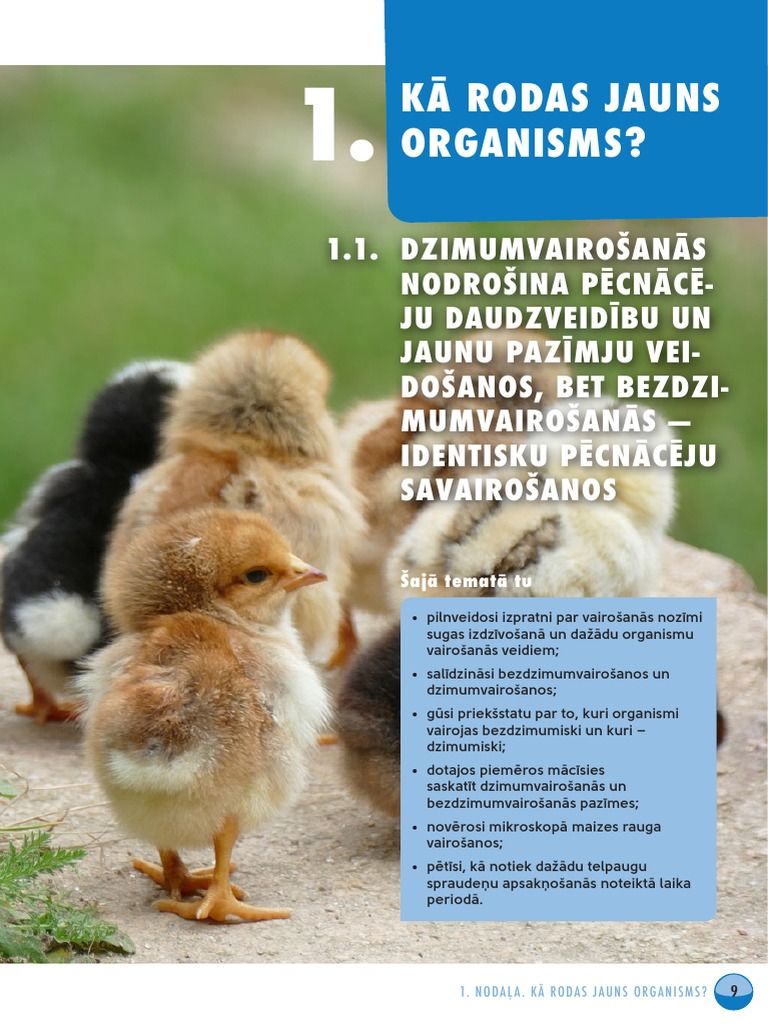 Biologija 9kl 1 Nodala | PDF