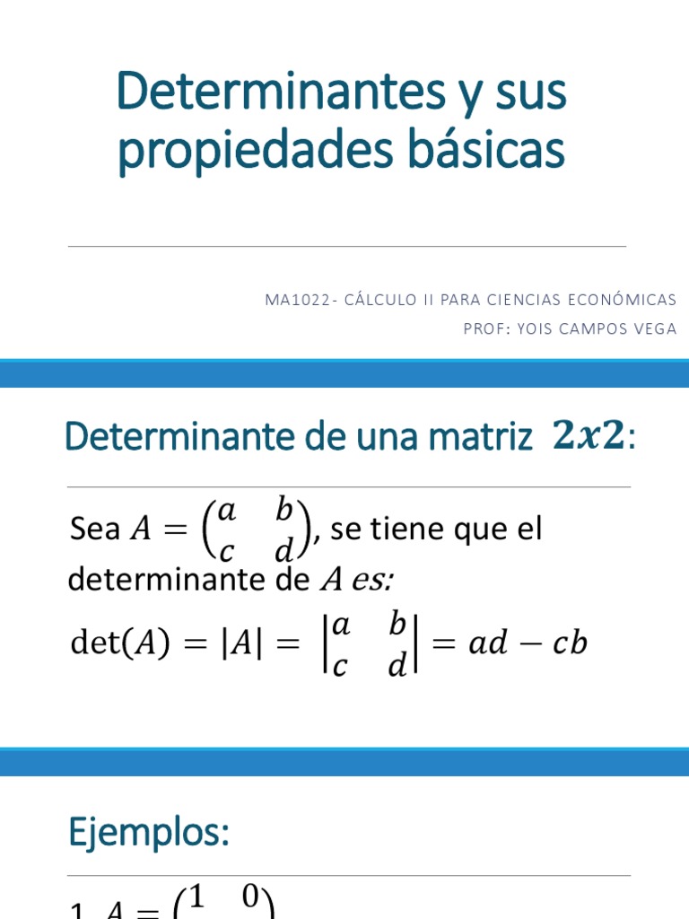 Determinante y Sus Propiedades | PDF | Determinante | Matriz (Matemáticas)