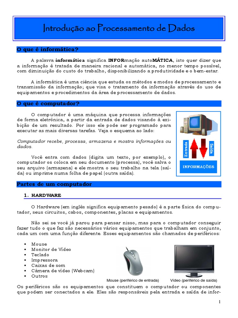 Informática Básica | PDF | Mordeu | Byte