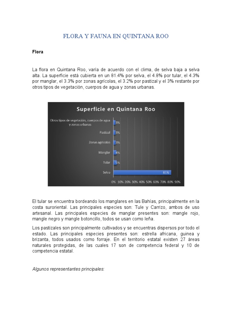 Flora y Fauna de Quintana Roo | PDF | Mangle | Selva