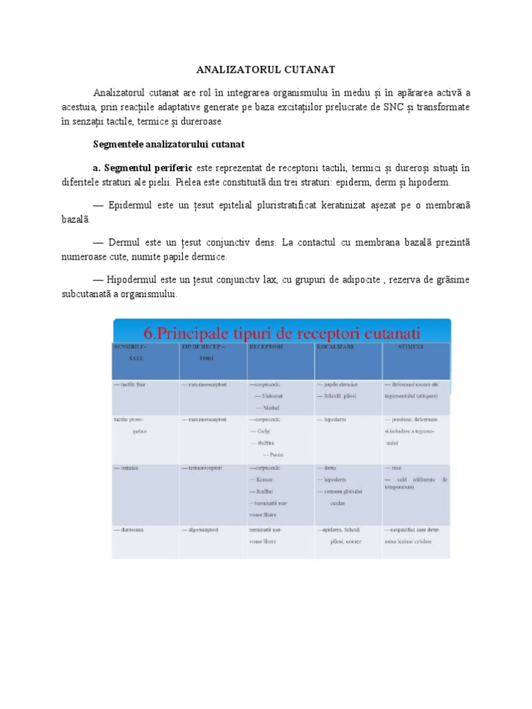 Analizatorul Cutanat | PDF